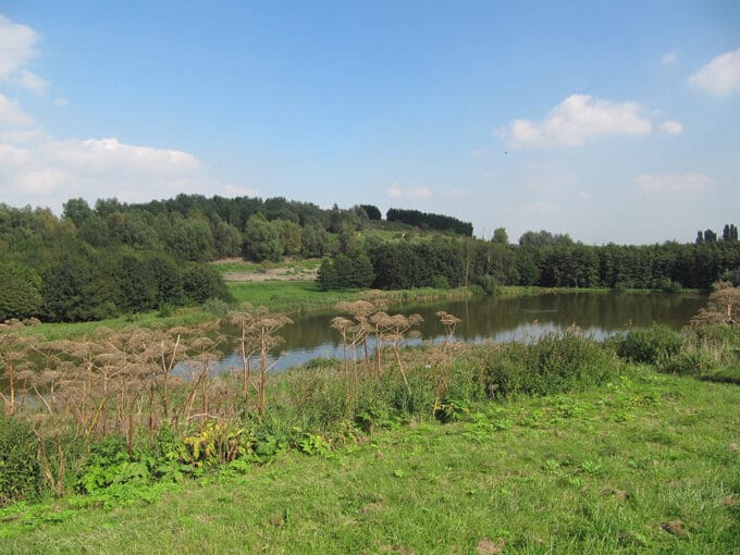 Boswachterspad Bergse Bossen - Uitkijktorens.nl