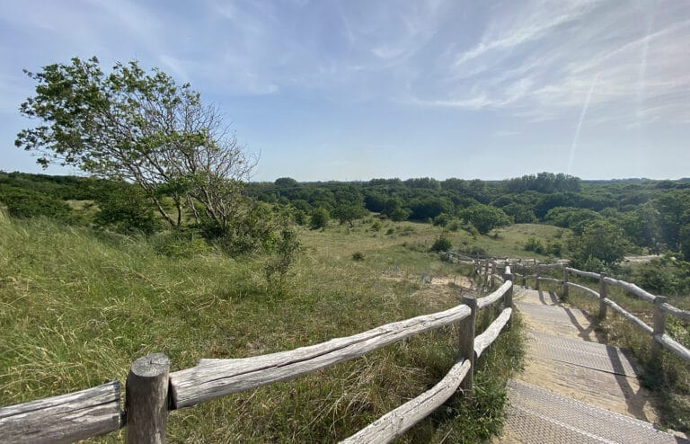 Uitkijktoren Papenberg - Uitkijktorens.nl