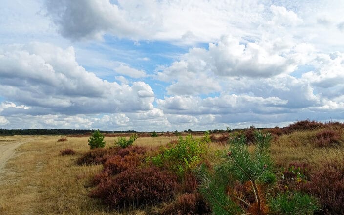 Uitkijktoren De Zandloper - Uitkijktorens.nl