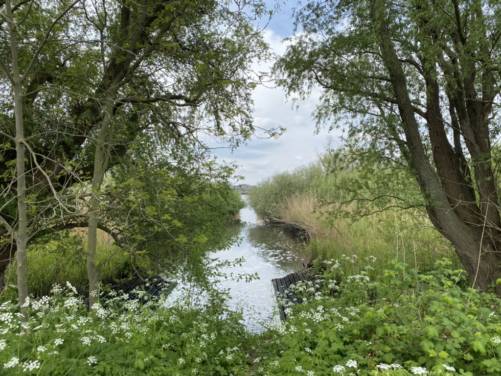 Wandelen door de Zaag - Uitkijktorens.nl
