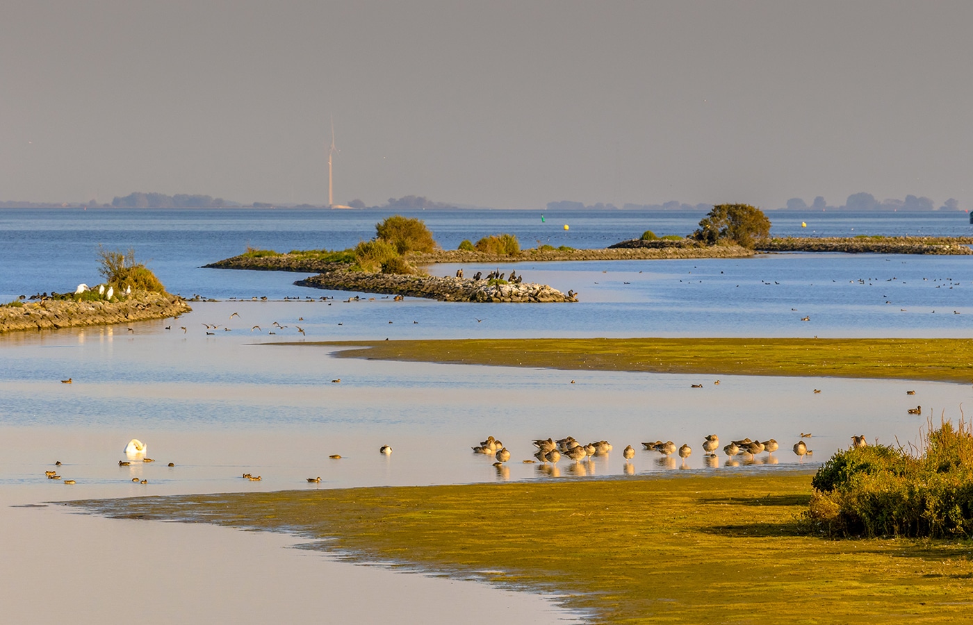 Vogelobservatorium Tij - Uitkijktorens.nl